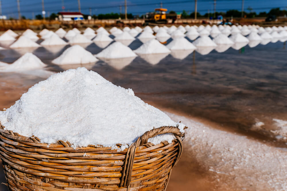 PhilASIN - Philippine Association of Salt Industry Networks, Inc.